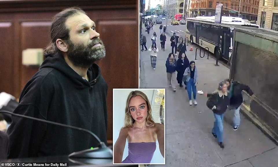 Man accused of randomly attacking NYU student seen in court