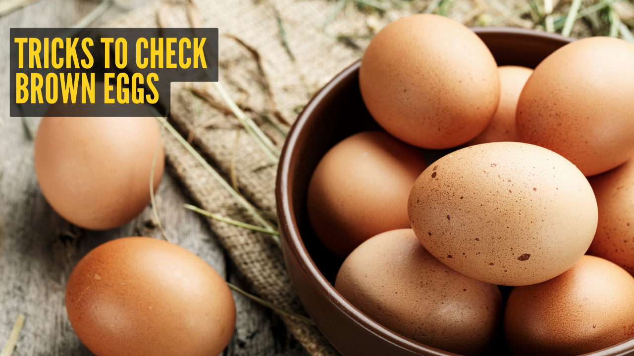 How to know if your brown eggs are really brown or painted: 2 simple ...