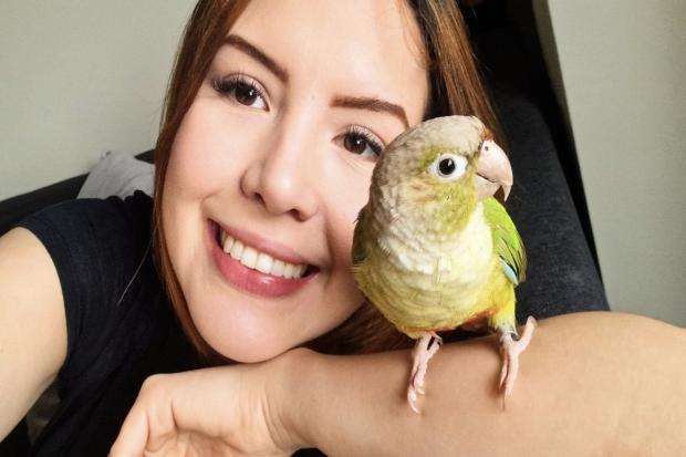 'Heartbroken' woman offers cash reward for safe return of beloved ...