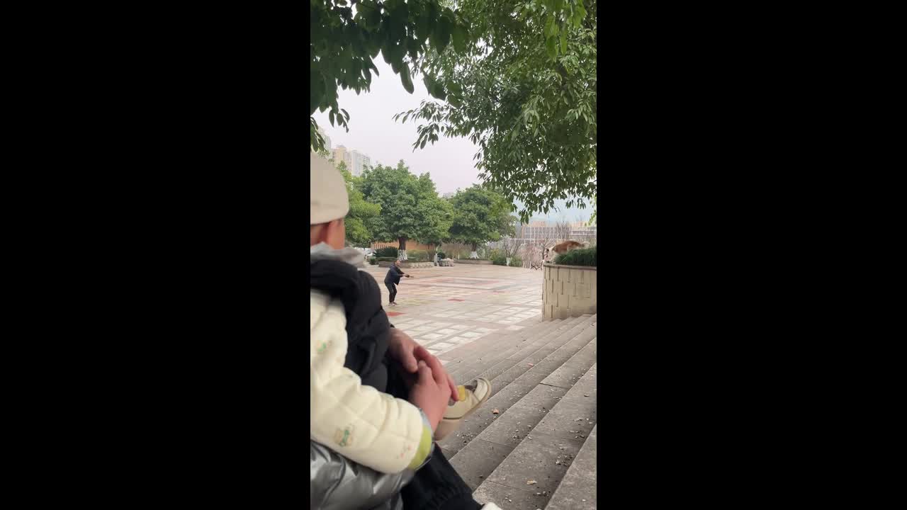 Playful ball game between owner and Border Collie in Sichuan, China