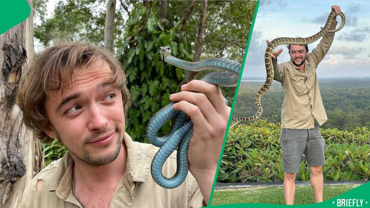 "Disgusting": Snake catcher shares surprising discovery of carpet python in shower, netizens react