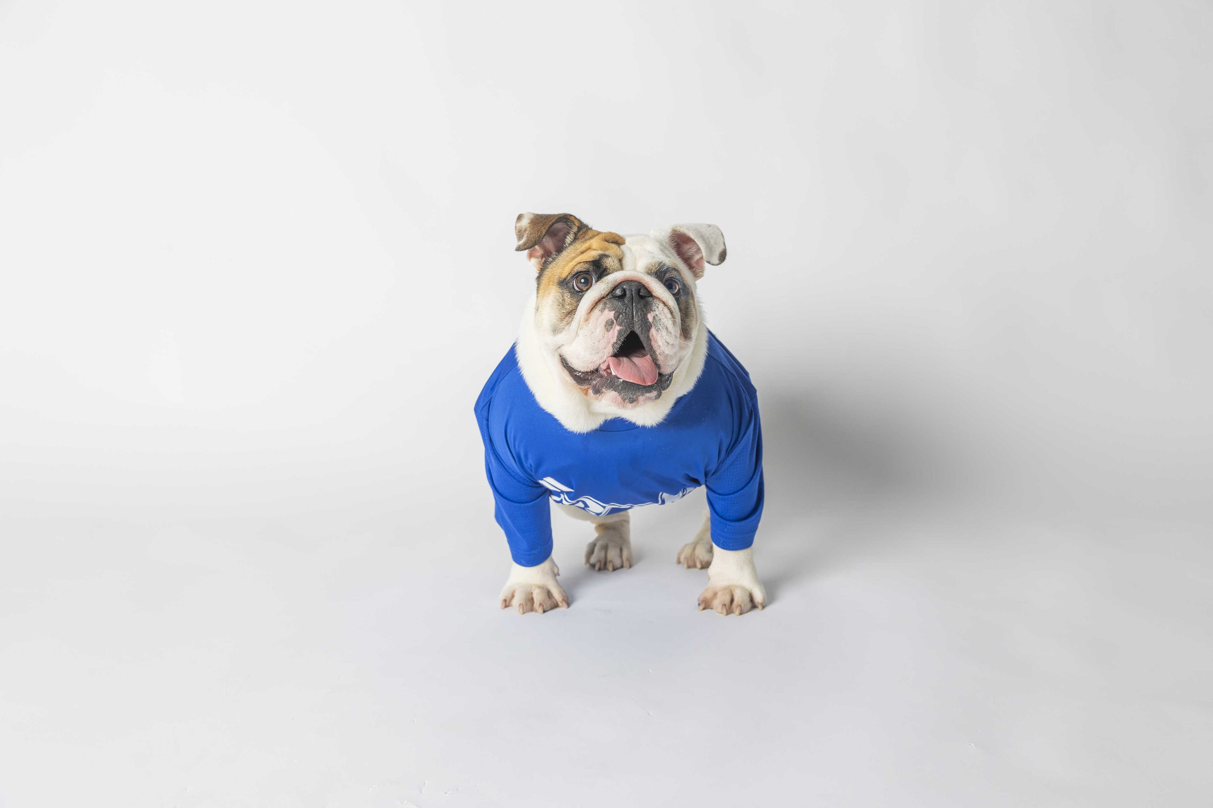 Drake introduces Griff III, the school's next live mascot