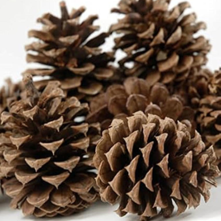 Lynsey Crombie's Christmas-scented pinecones are the easy way to make ...