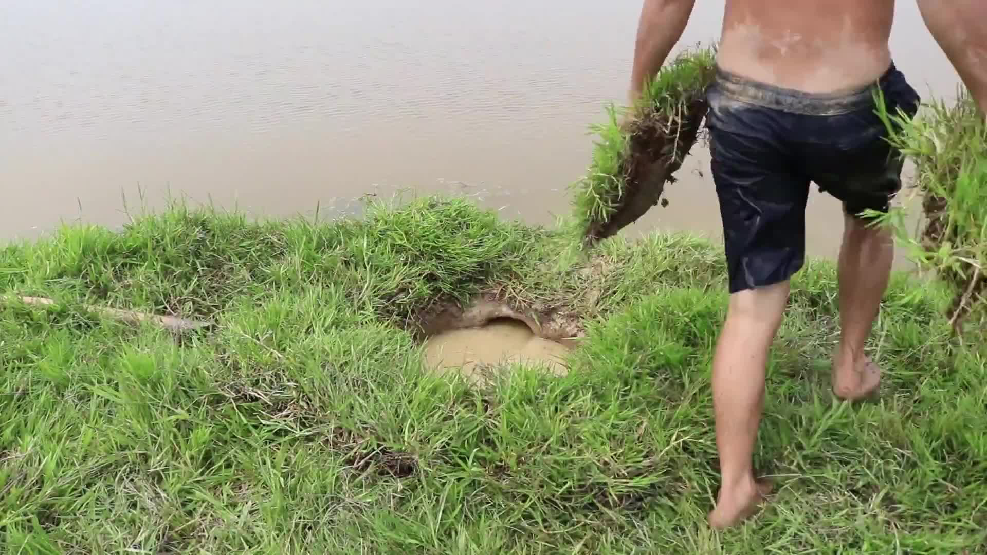 Catch Catfish In Secret Hole By Smart Boy