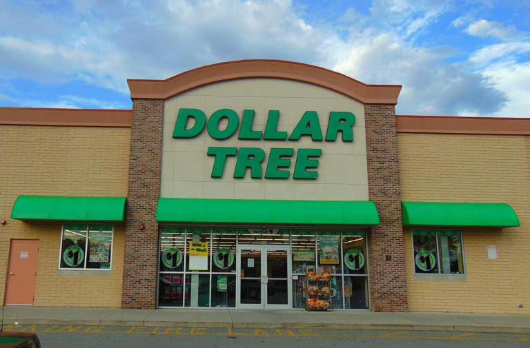 Dollar Tree sold recalled lead-contaminated baby food in NY, fined ...