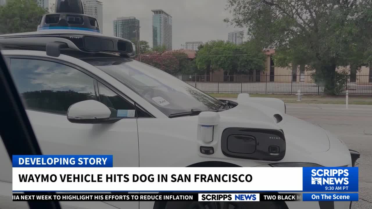 Viral Waymo crashes put driverless cars in the spotlight