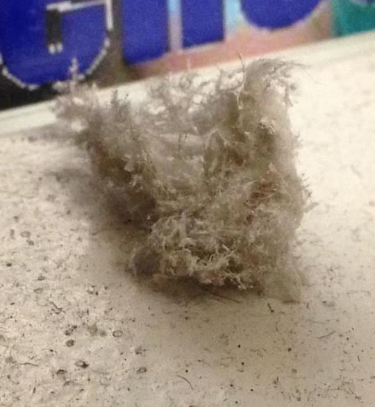 Manitoba updates asbestos regulations, including workers' certification ...