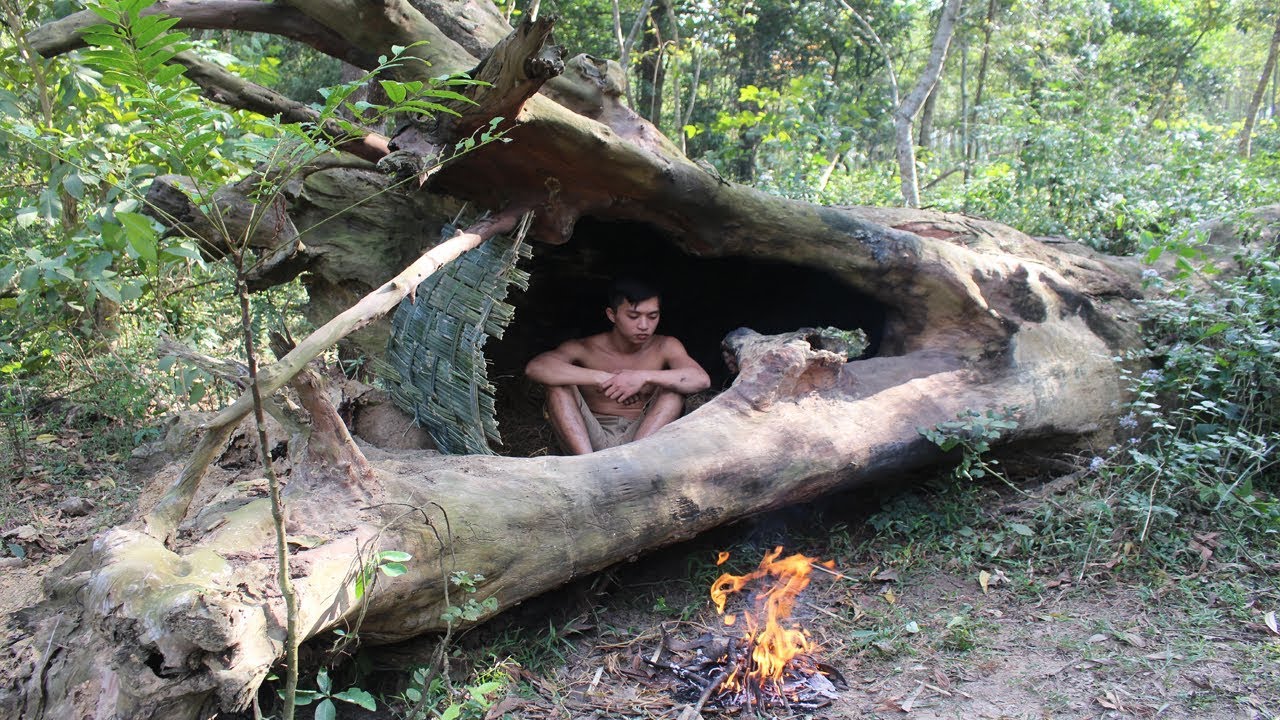 Primitive home in a tree trunk