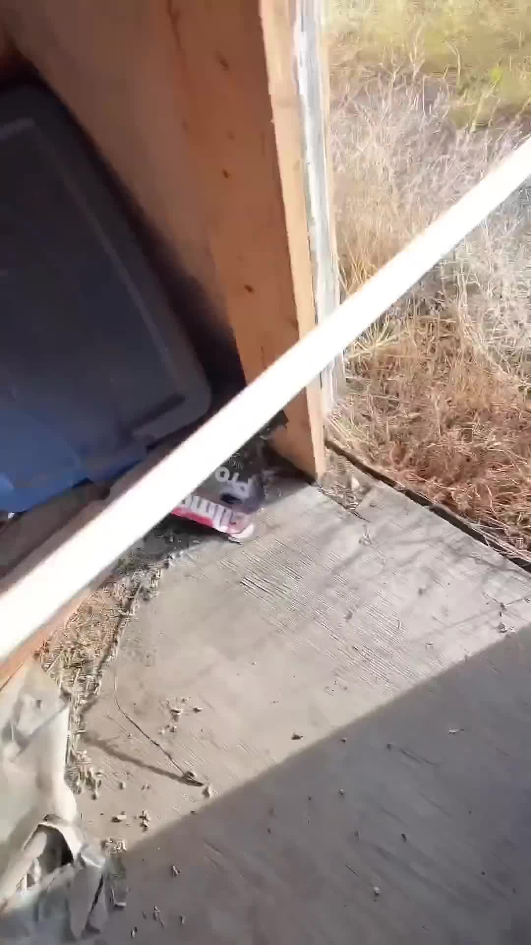 You won't believe how I rake leaves!