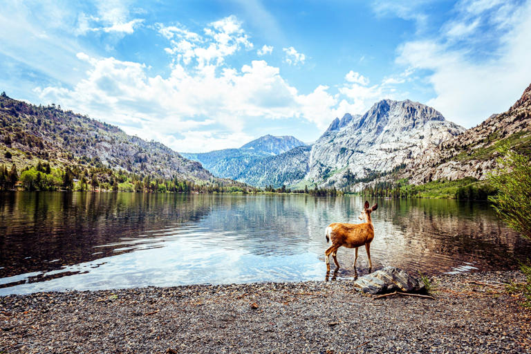 The little Switzerland of California is the most underrated but scenic ...