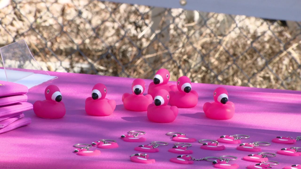 40,000 rubber flamingos to float down river to help raise money for ...