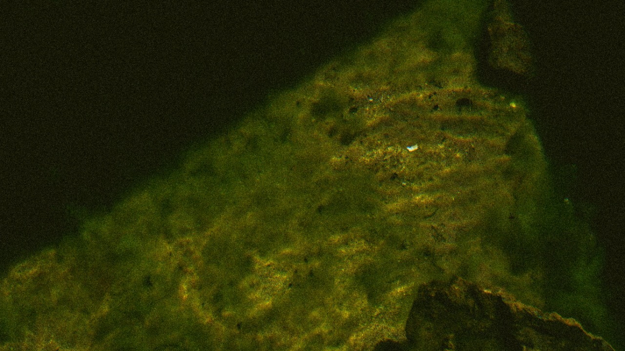 40,000-year sleeper microbes wake in Alaska; 6 months later, upheaval