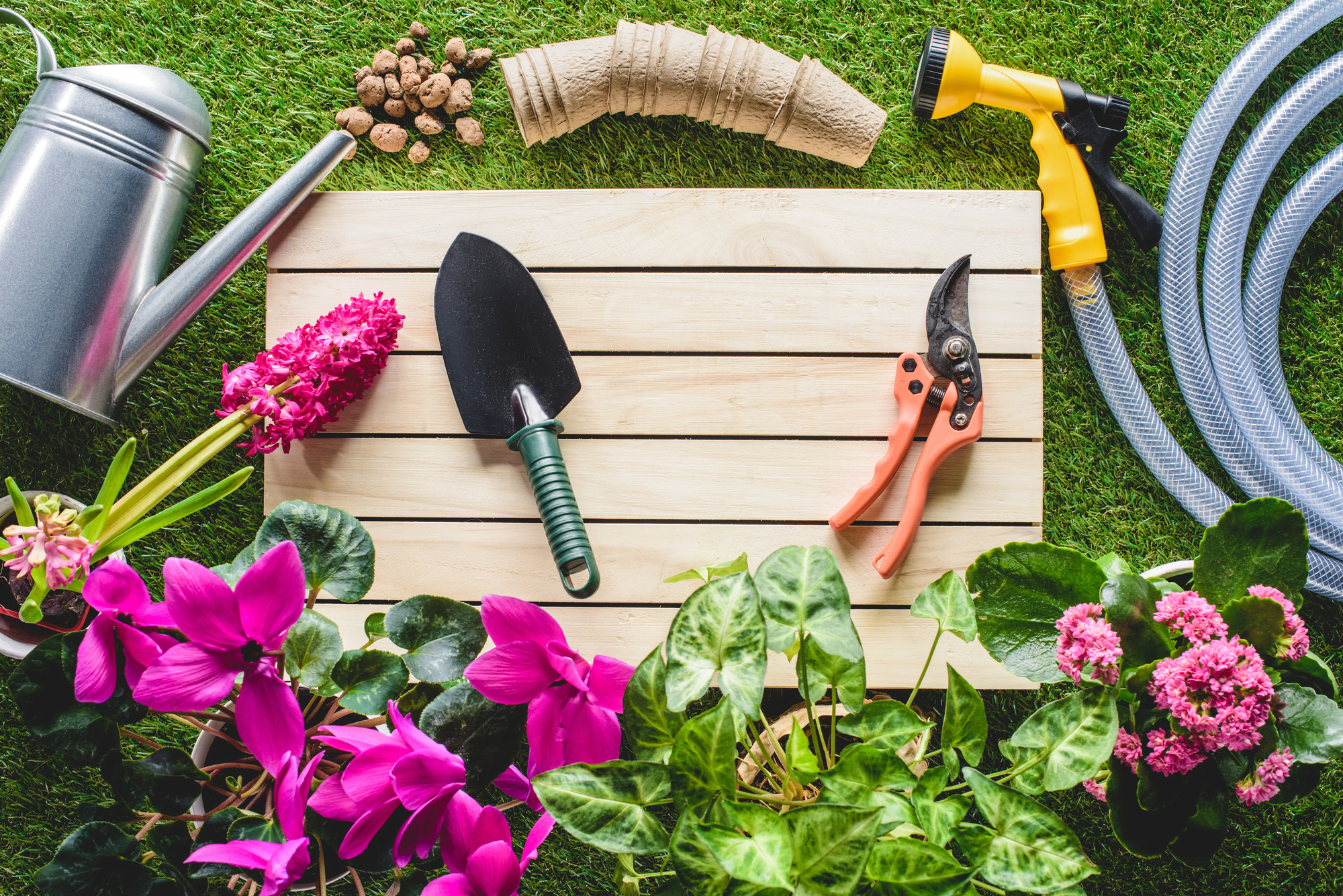 Historic gardens that influenced modern landscapes