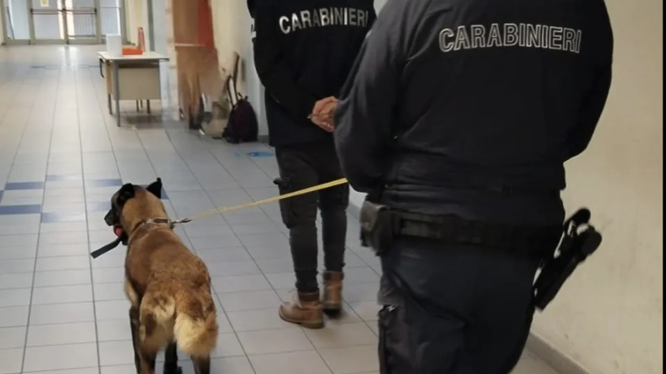 Cani antidroga nelle scuole. I controlli dei carabinieri