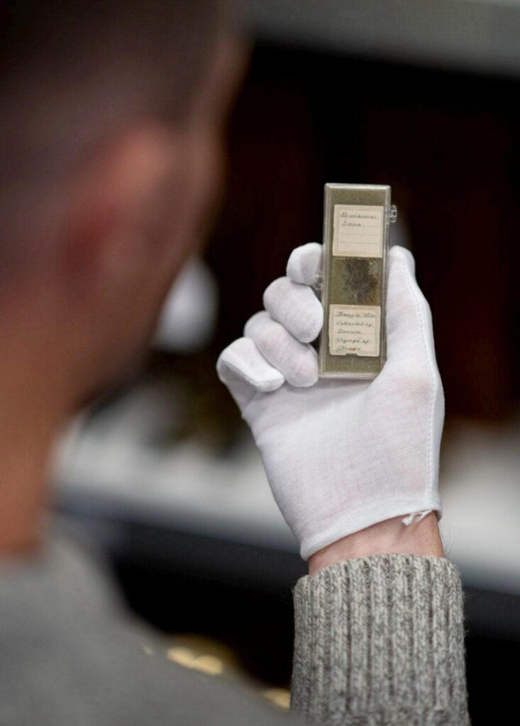 Lost Charles Darwin microscope slide sells for three times estimate at ...