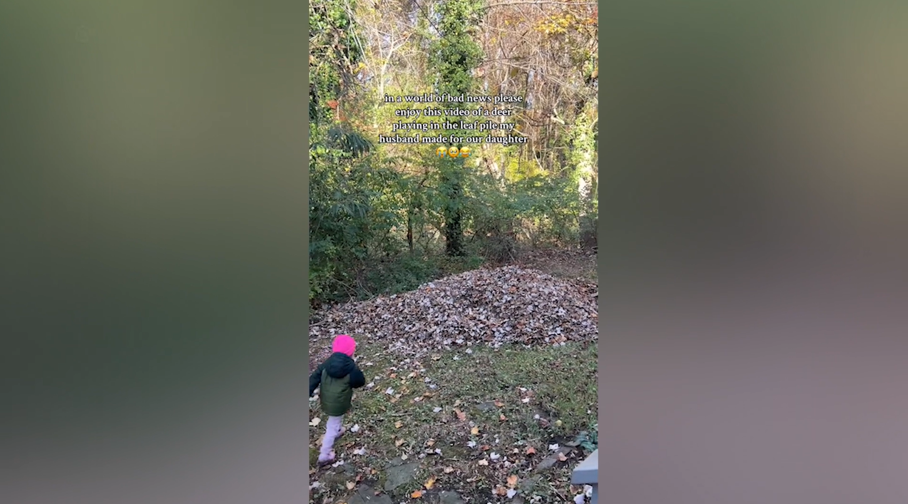 Dad makes leaf pile for daughter - never expects who comes to play