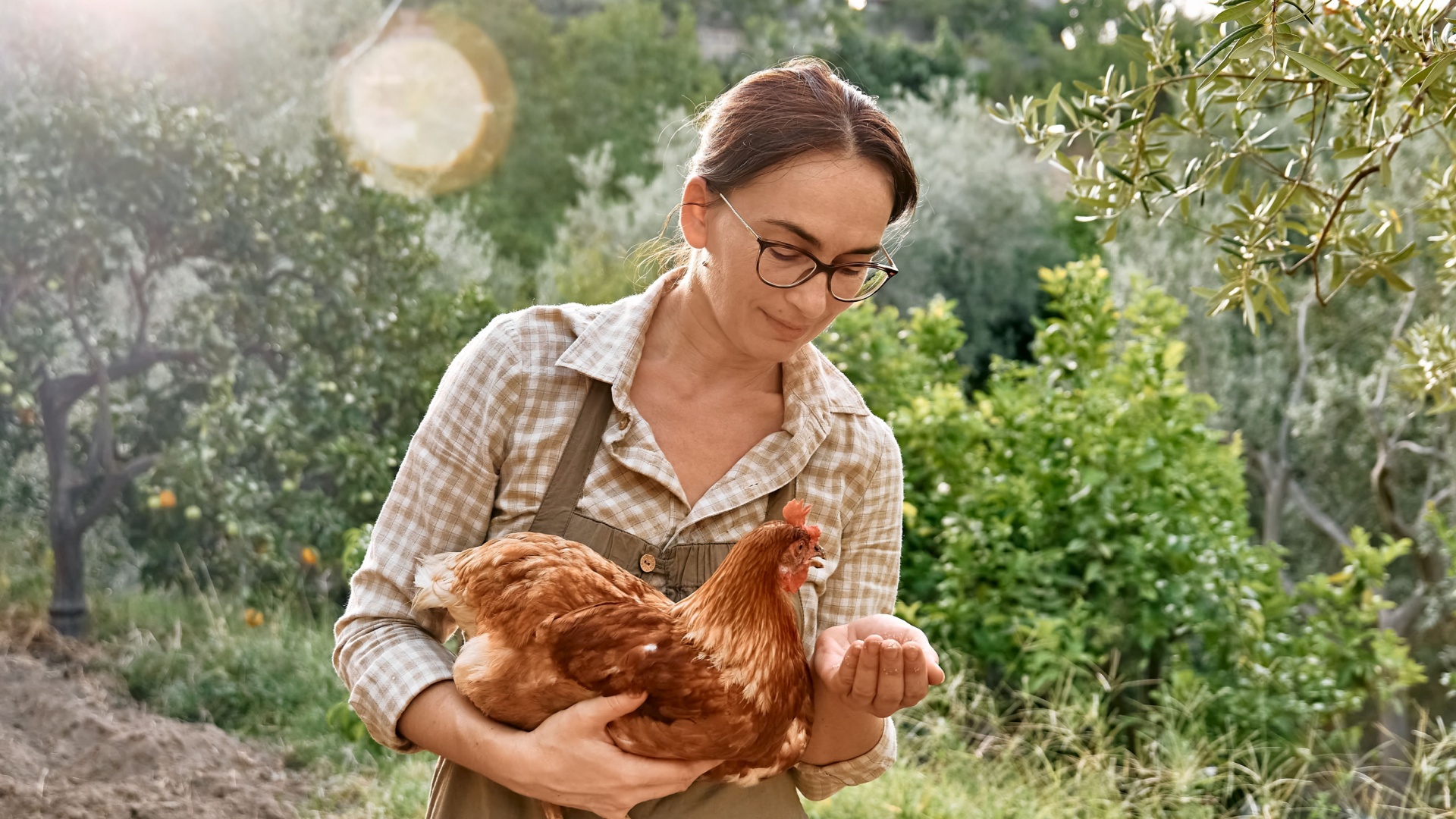 Everything you need to know before jumping on the pet chicken train