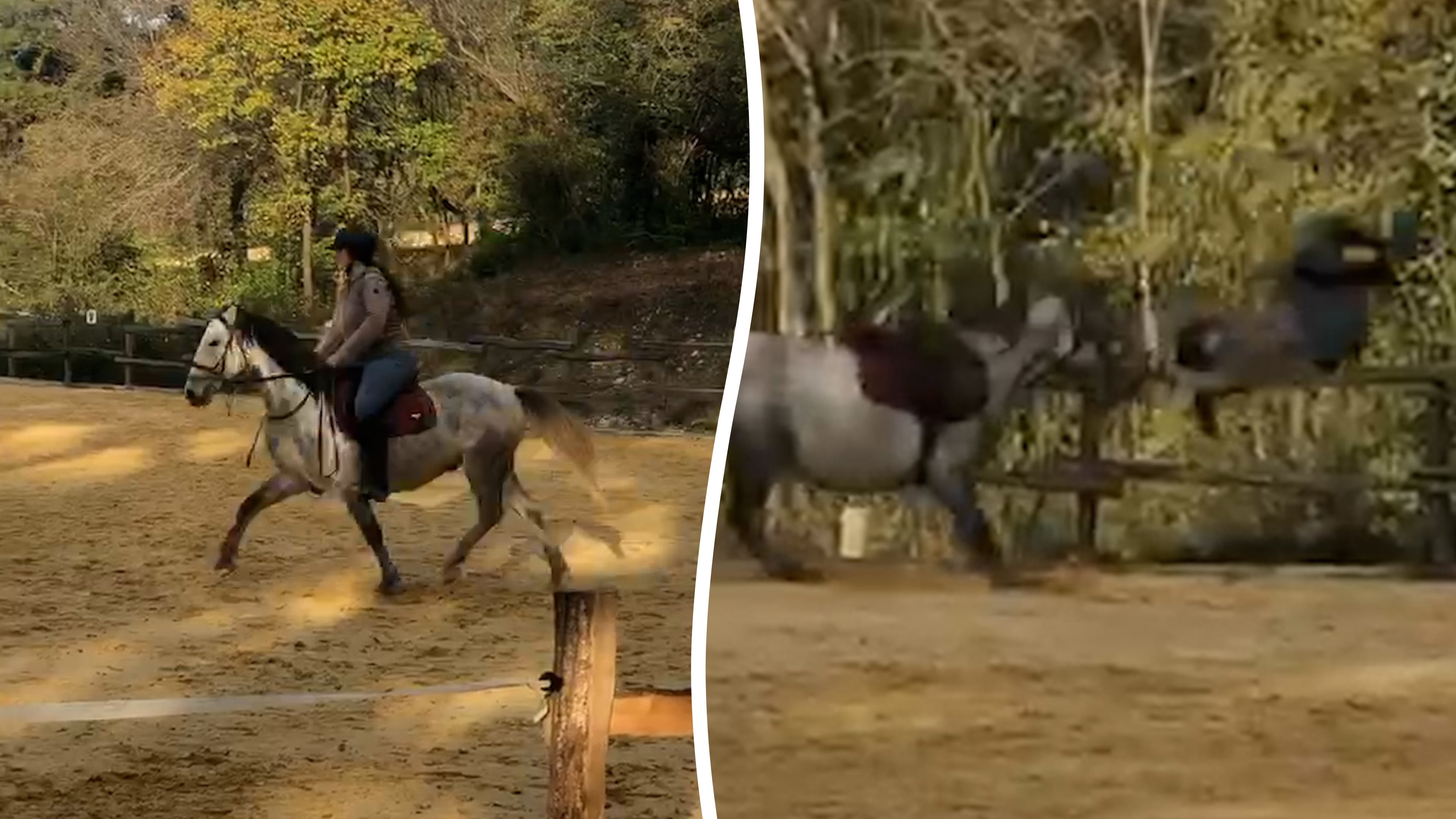 Reiterin bei Sturz vom Pferd katapultiert