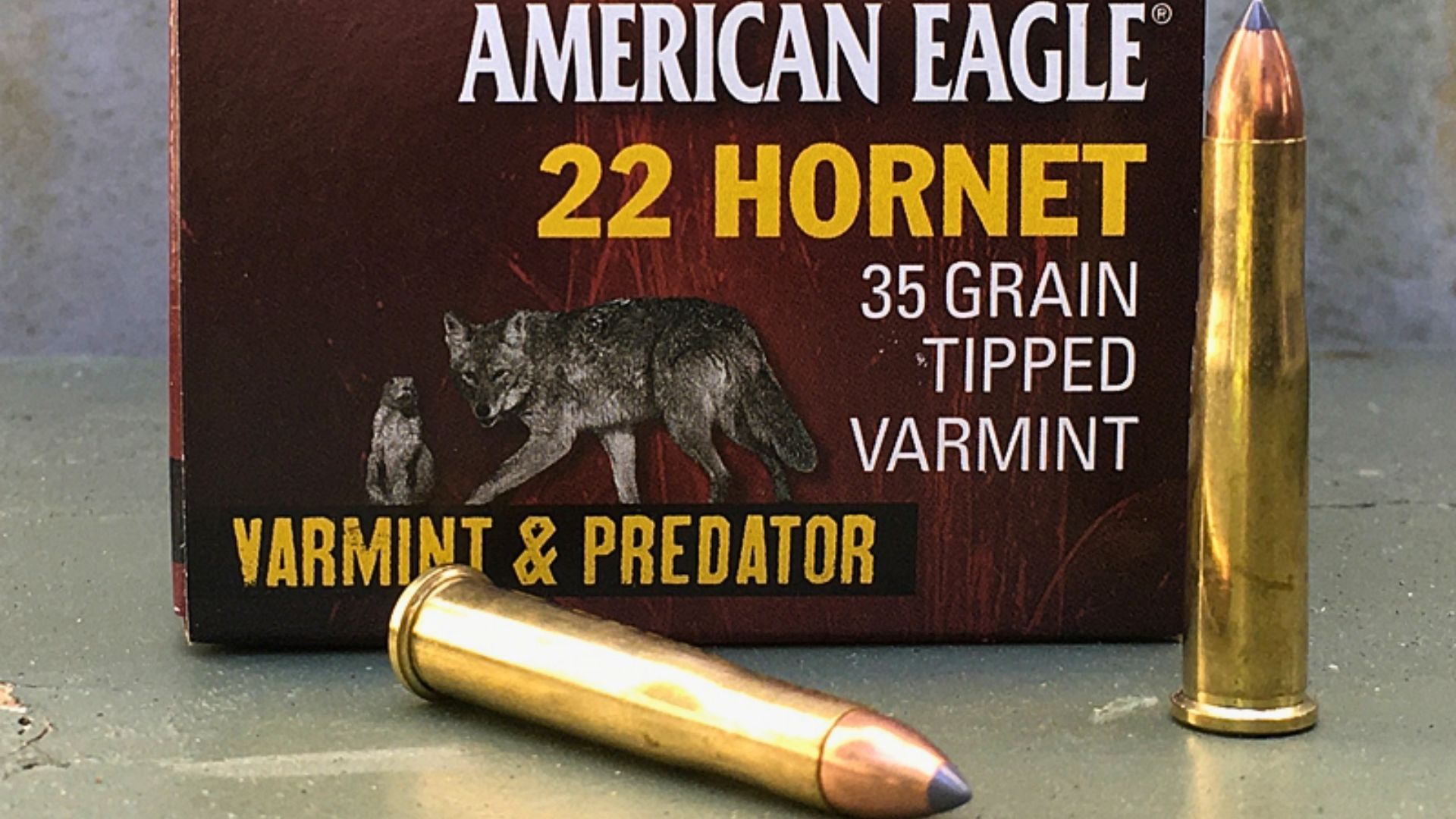 Cartridges that refuse to group no matter the load