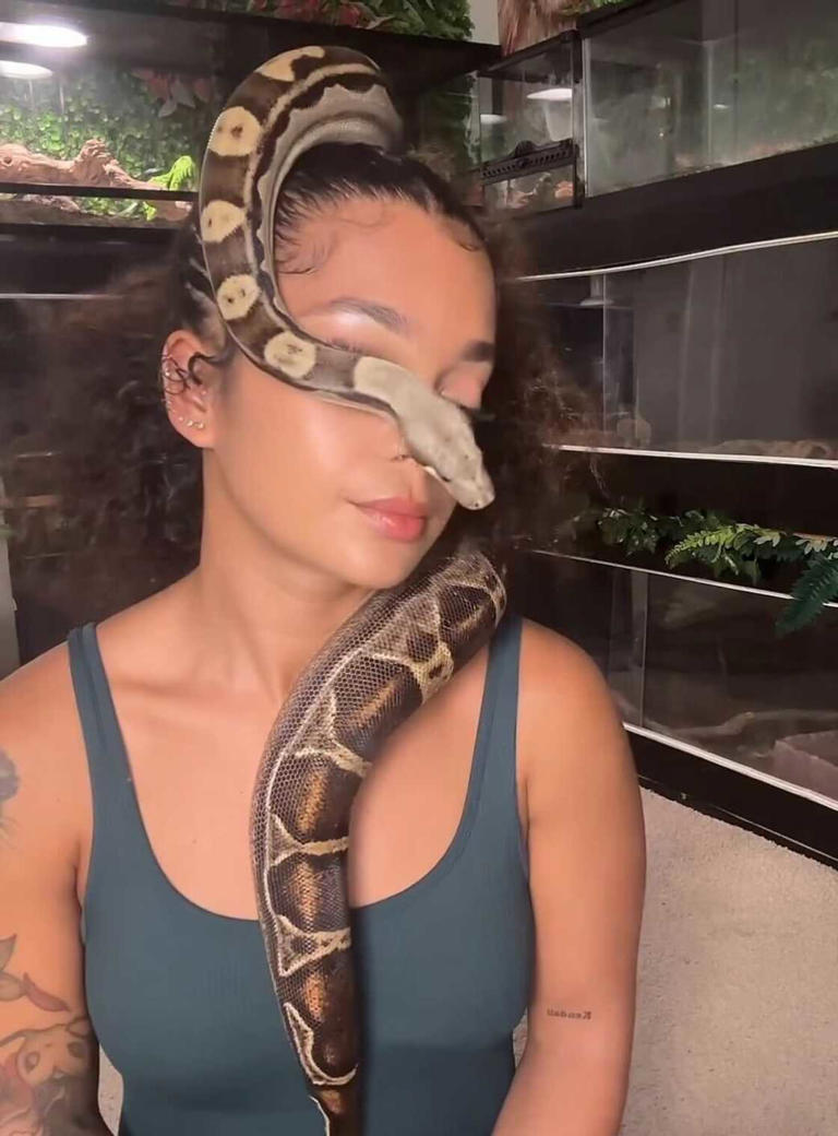 "Yuck, too scary": Woman’s giant pet snake leaves SA stunned as it ...