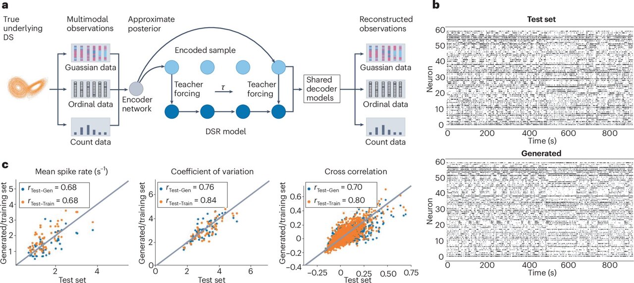 Biological intelligence as the basis for new AI systems
