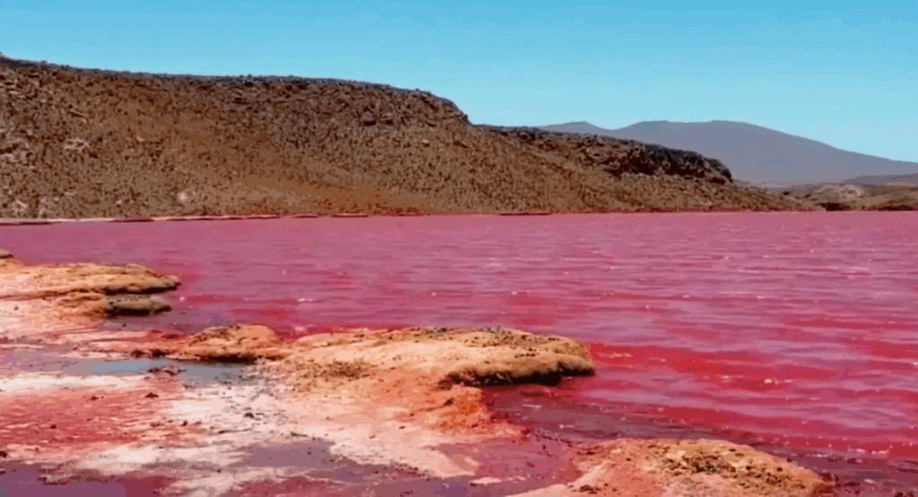 Journey through Earth’s most lethal liquids