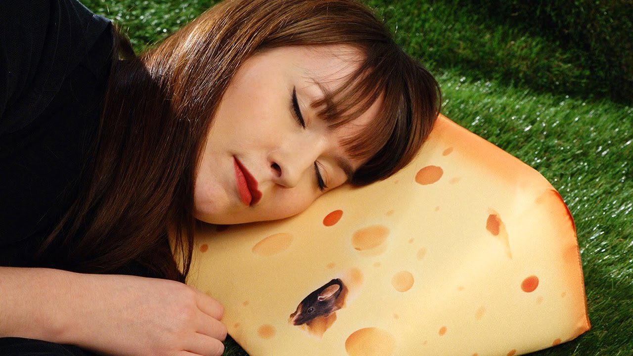 Grab these wild cheese pillows and viral outdoor gifts now