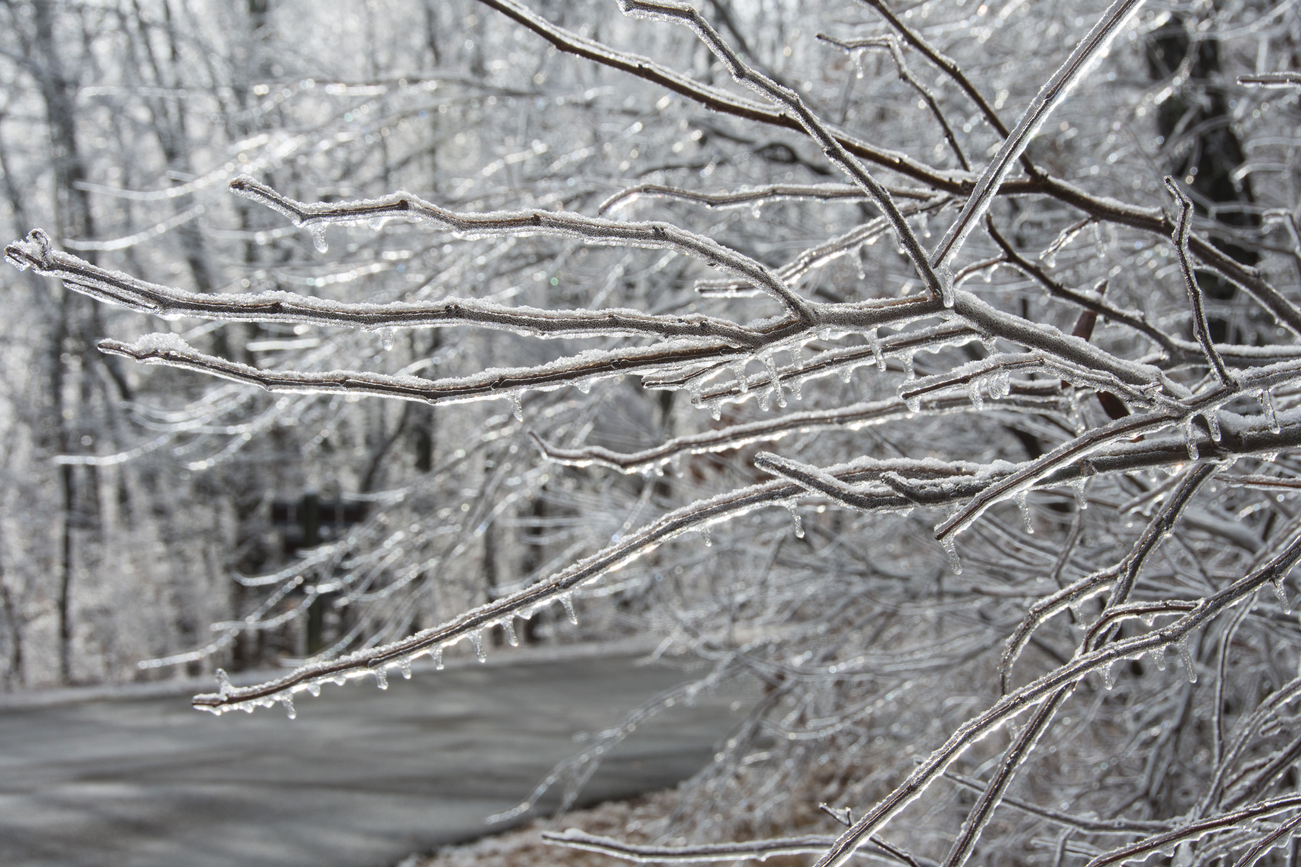 Dangerous ice storm to hit US: Live tracker maps
