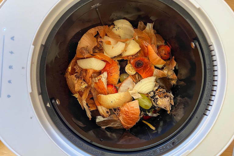 The best electric composters for recycling food waste, tested