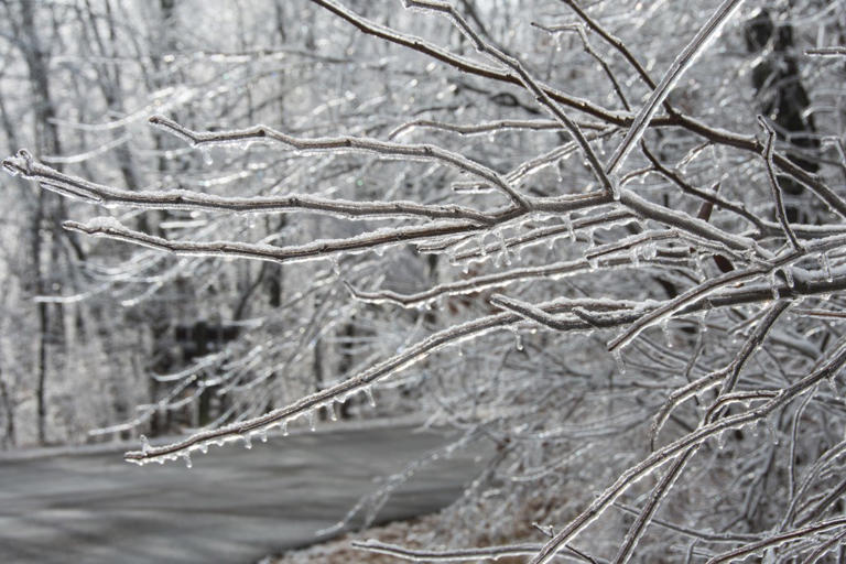 Dangerous ice storm to hit US: Live tracker maps