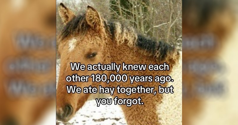 'Me deleting posts after I'm done being dramatic': 25 posts for a happy week of posting