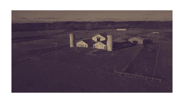 After death ruled homicide, police execute search warrant at Piney Woods