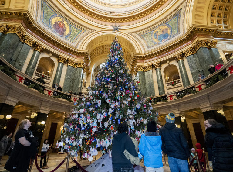 The Capitol tree is lit and on display. Here's what to know.