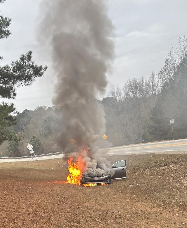 ‘My grandbabies could’ve died’: Albany woman, grandkids escape burning car after brakes fail
