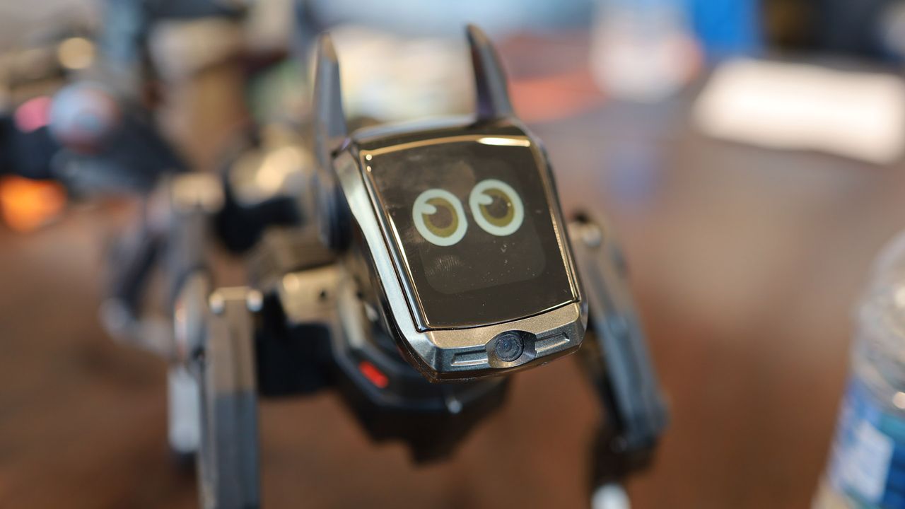 Woof - Hengbot Sirius is probably not the puppy of your dreams, but ...