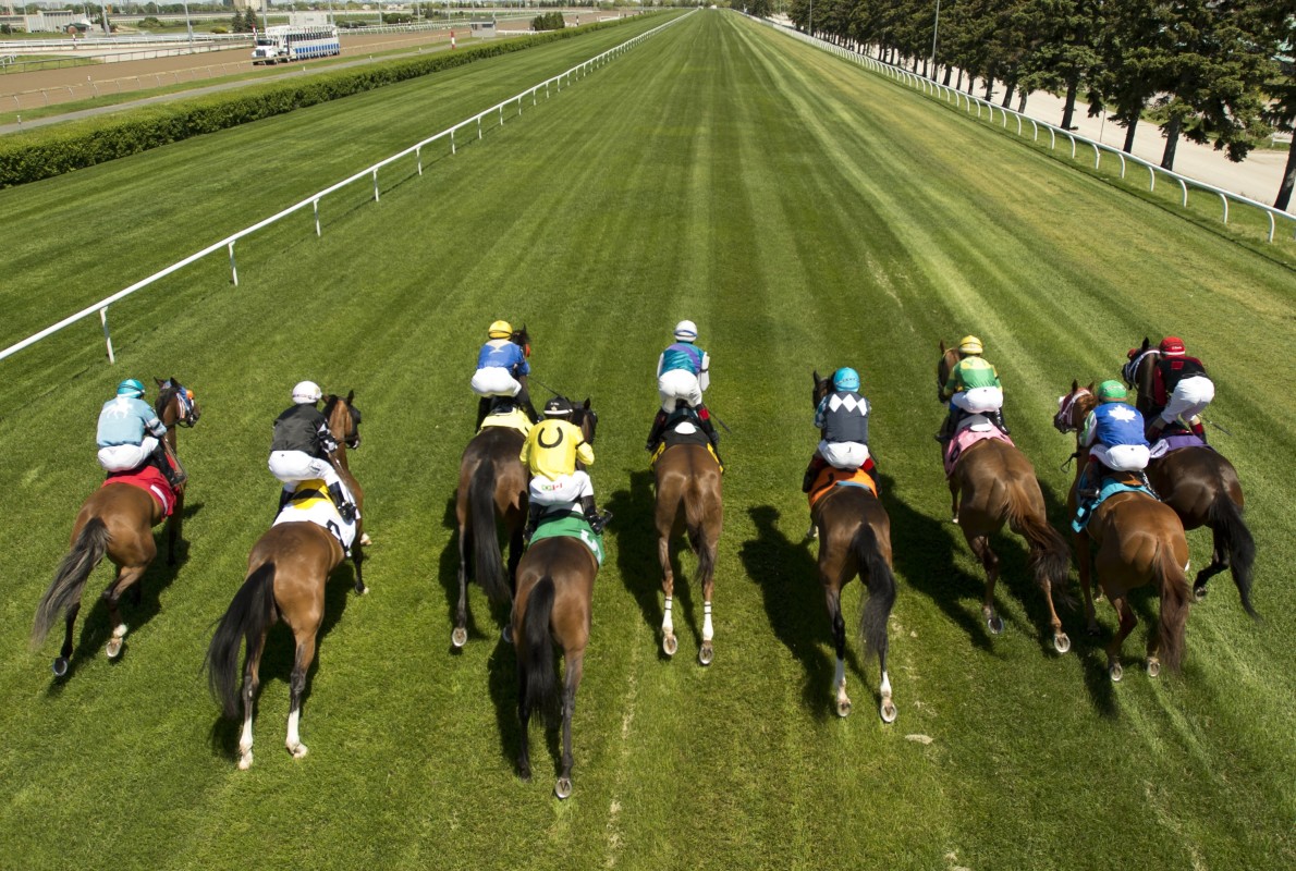 Wilkie: Masters of the turf