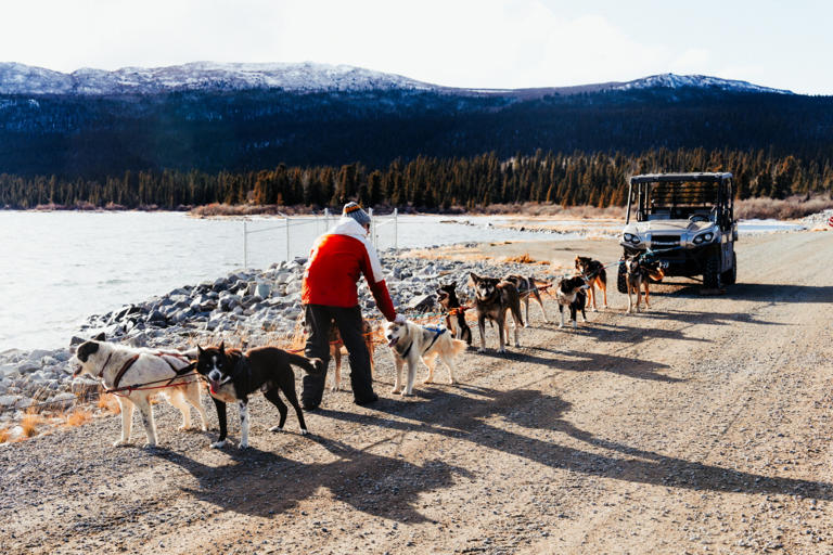 이게 진짜 캐나다! 유콘 가을 액티비티 6