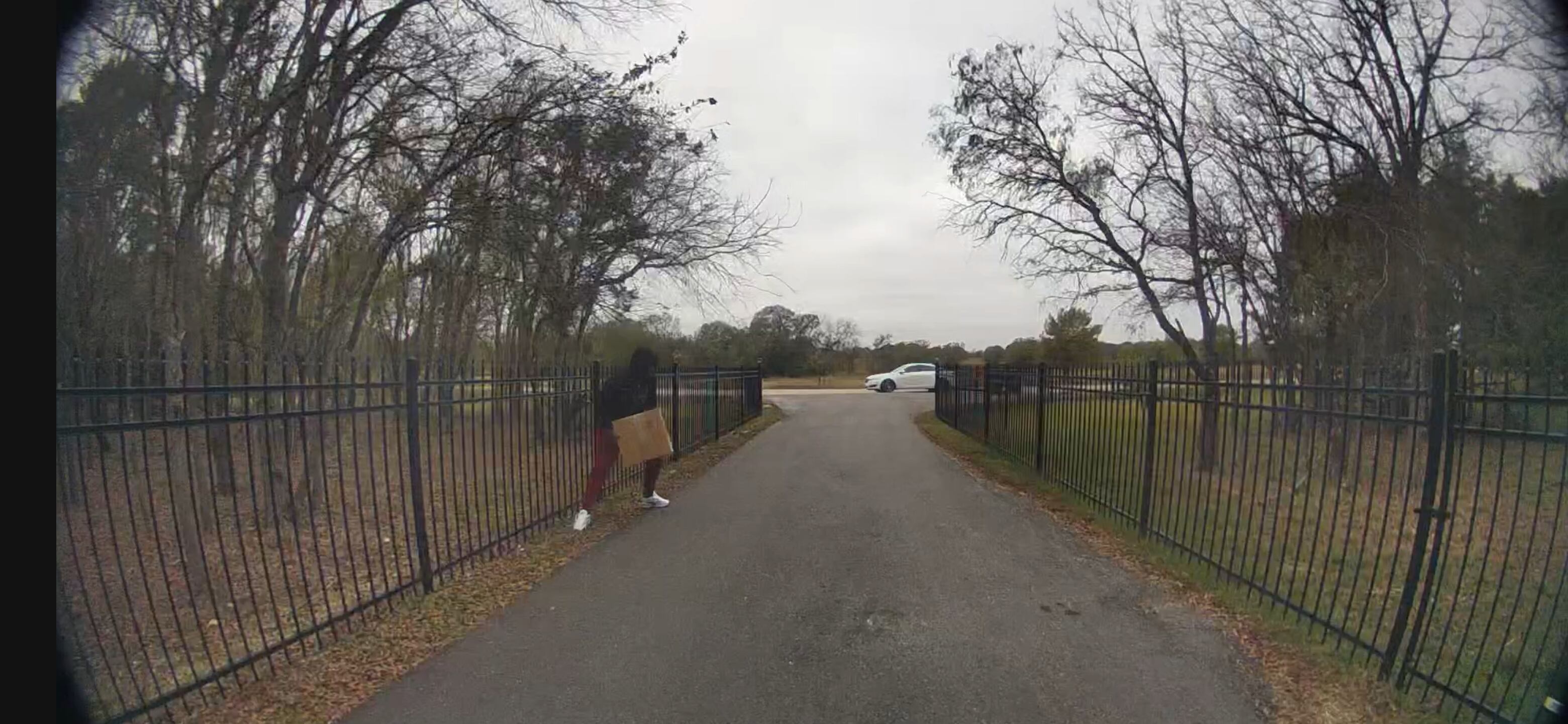 'It is that time of year': Package thief caught on camera stealing from ...