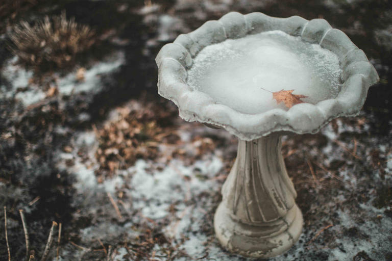 How to keep your birdbath from freezing this winter