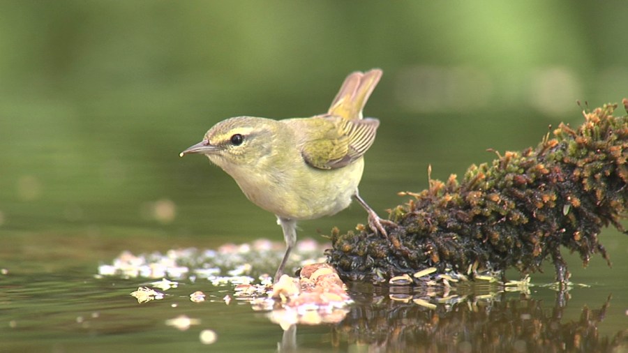 Richard Moore outdoor report: Moments in time 2025