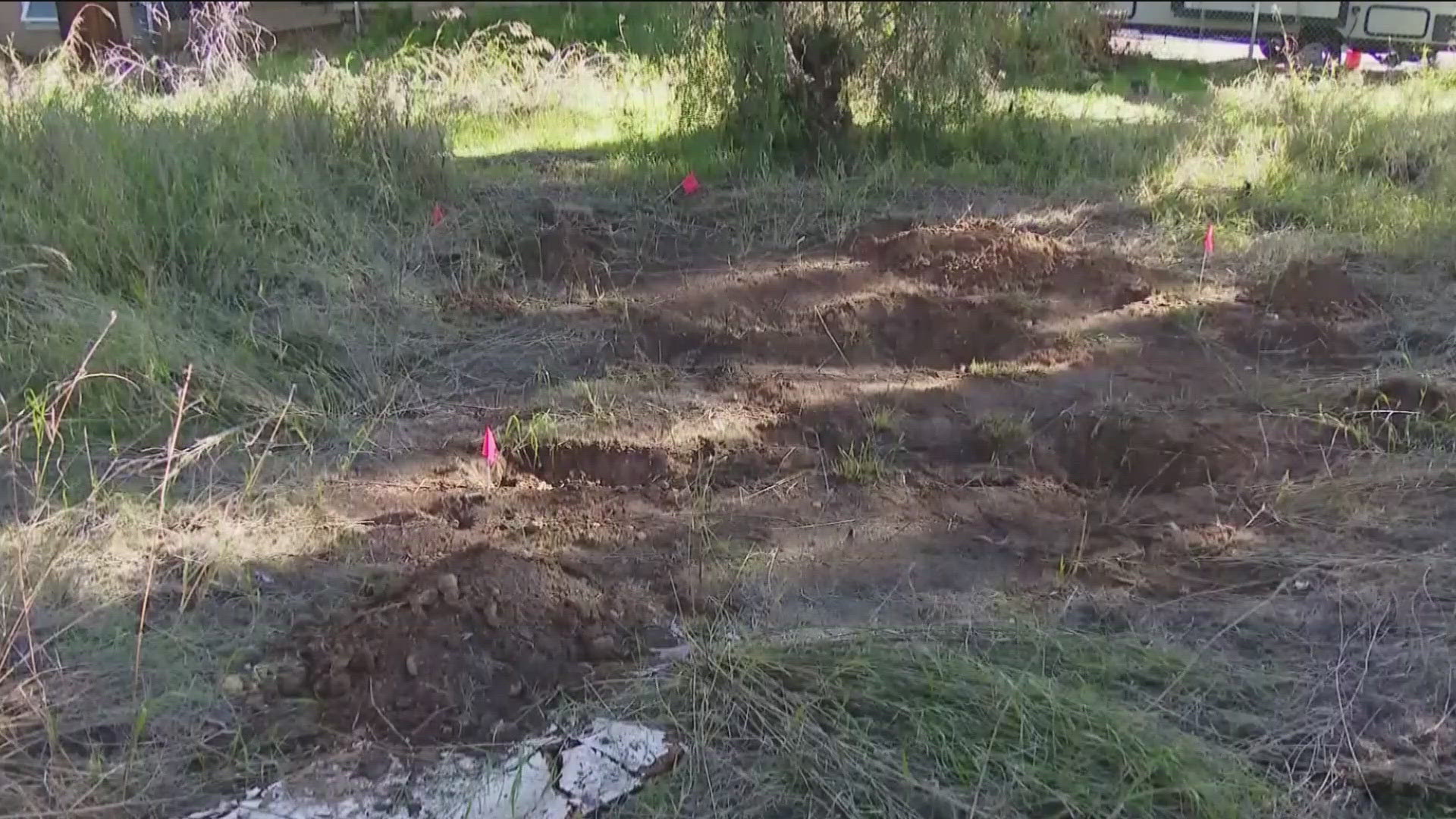 Southcrest human remains investigation linked to convicted felon amid ...