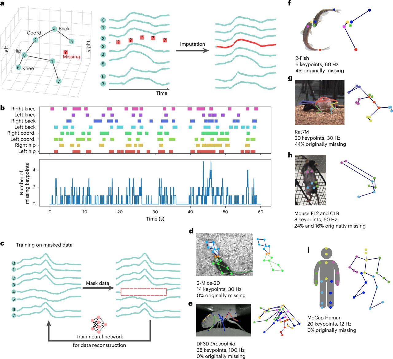 AI method recovers missing movement data to enhance behavioral analysis