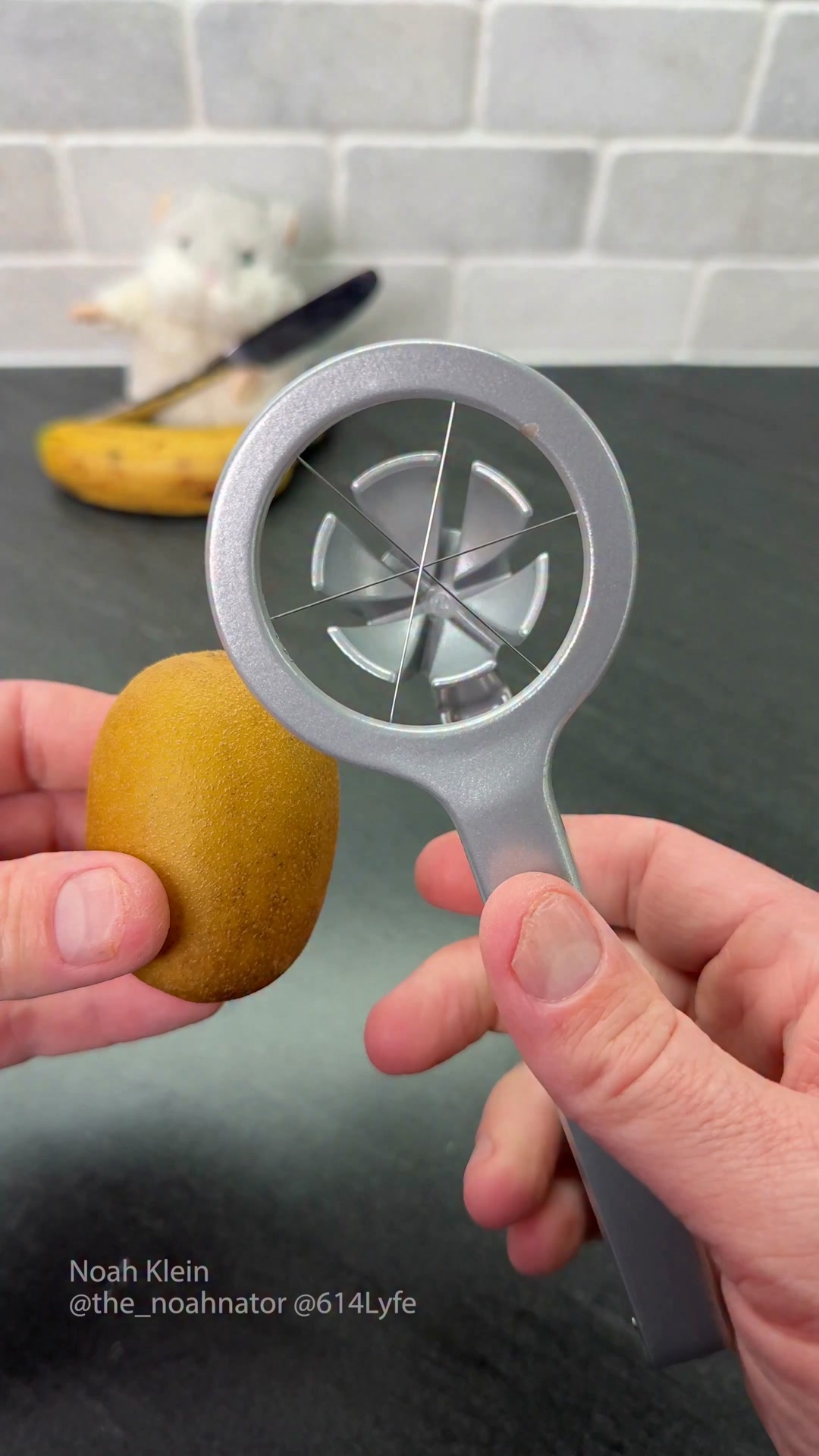Kiwi vs egg slicer