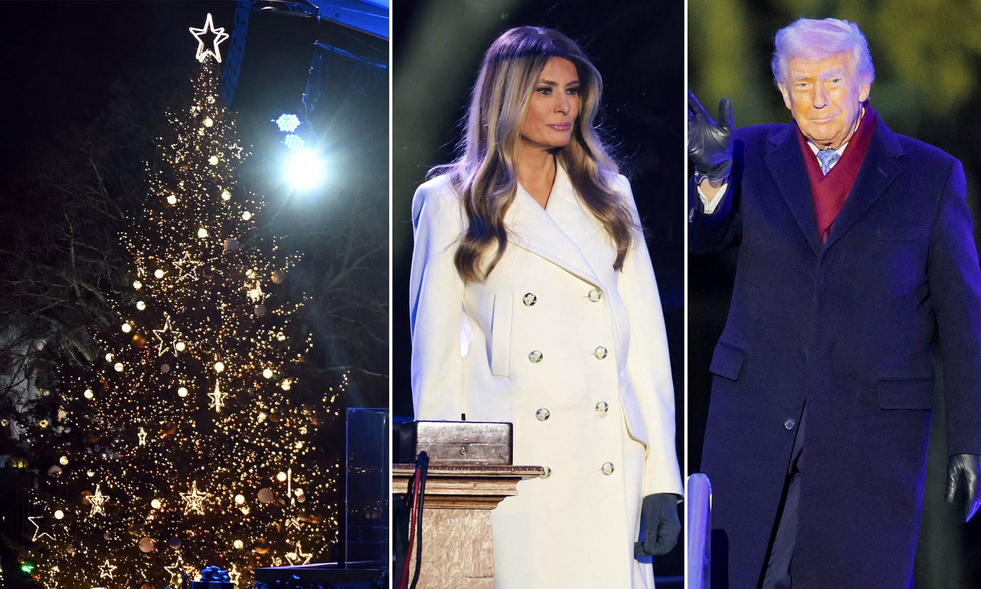 President Trump and Melania light National Christmas Tree in dazzling ...
