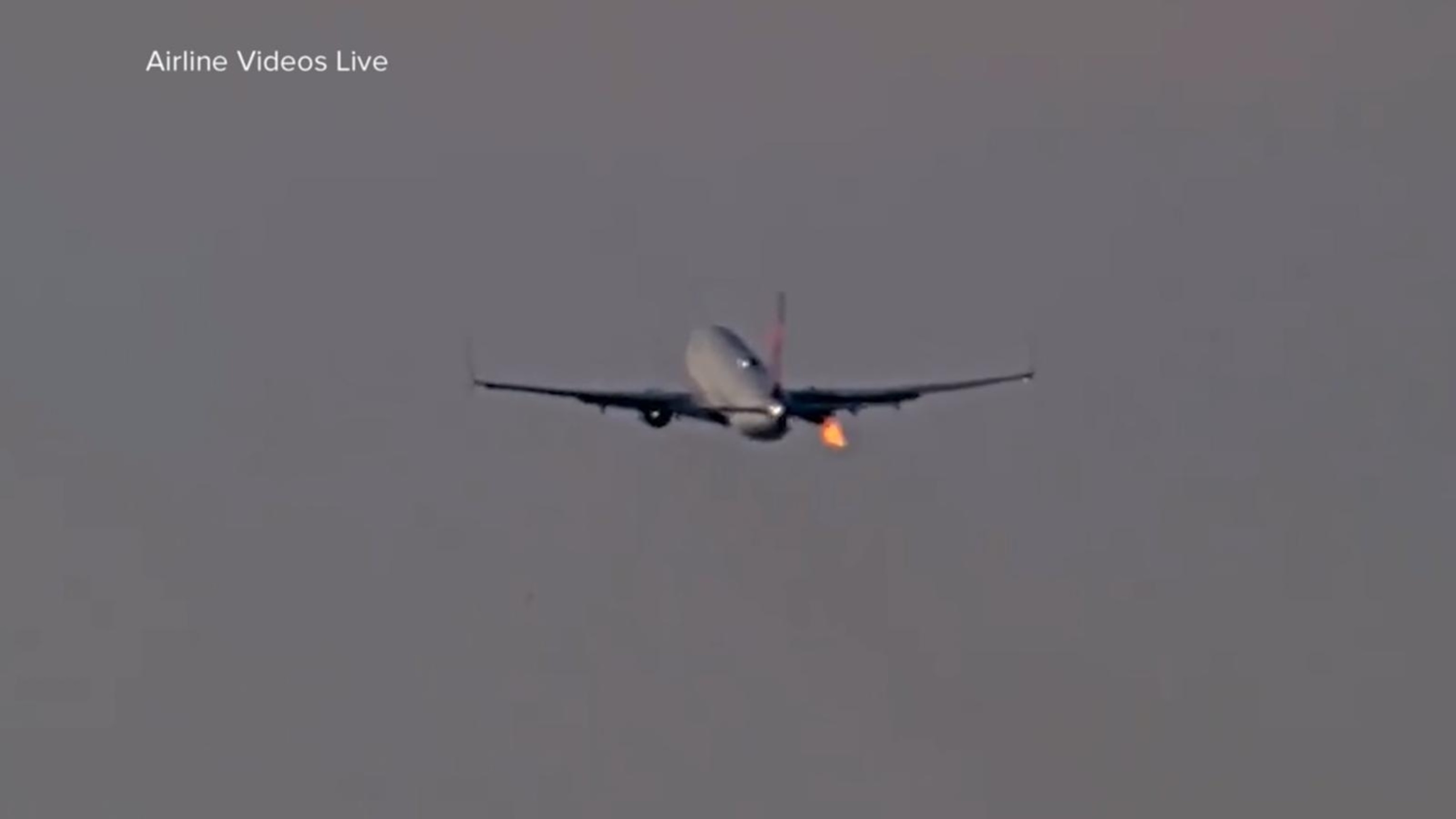 Seattle-bound Delta flight makes emergency landing after bird strike ...