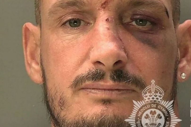 TikTok prankster with 31,000 followers launches 'wild animal' attack on ...