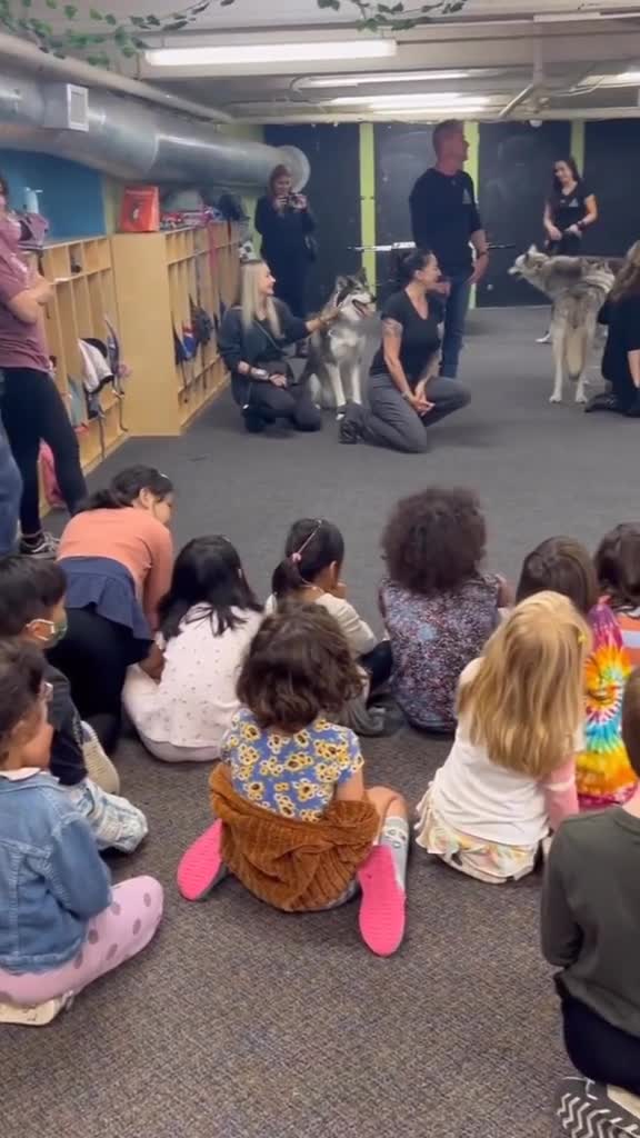 Meeting wolves in the classroom: An unforgettable experience for kids