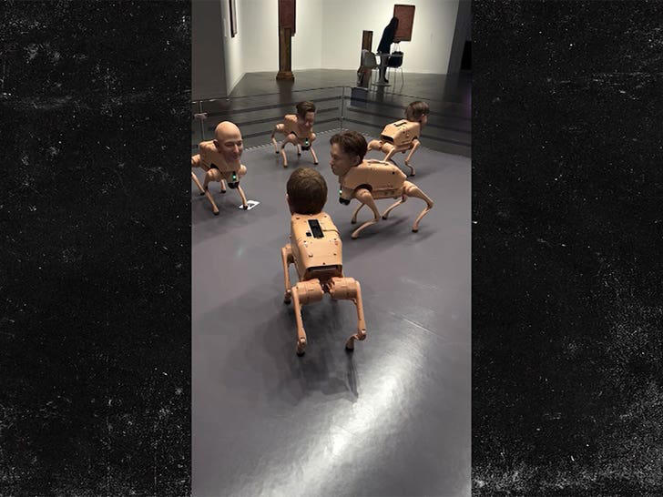 Robot dogs wear lifelike Musk, Zuckerberg masks while pooping pictures