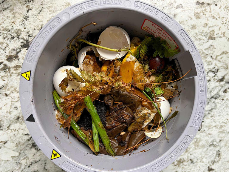 The best electric composters for recycling food waste, tested