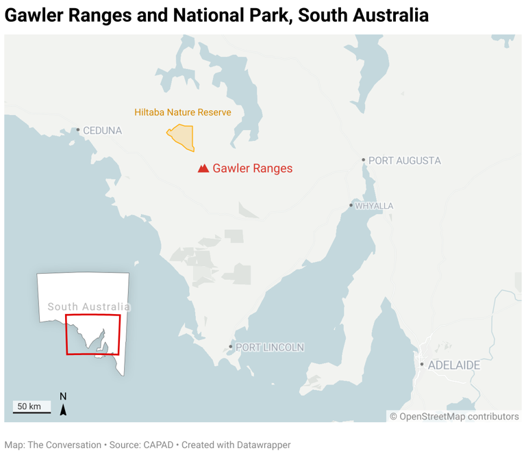 Meet the weird, wonderful creatures that live in Australia’s desert ...